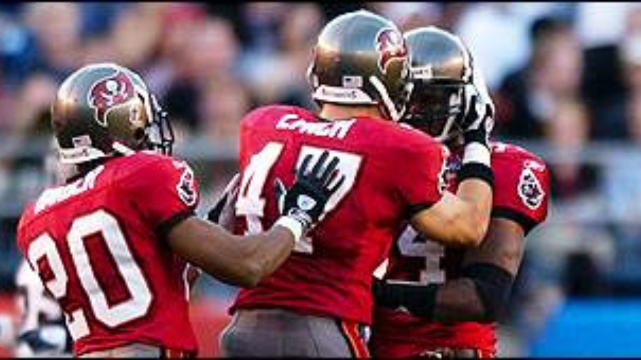 2002 Bucs D-Fence